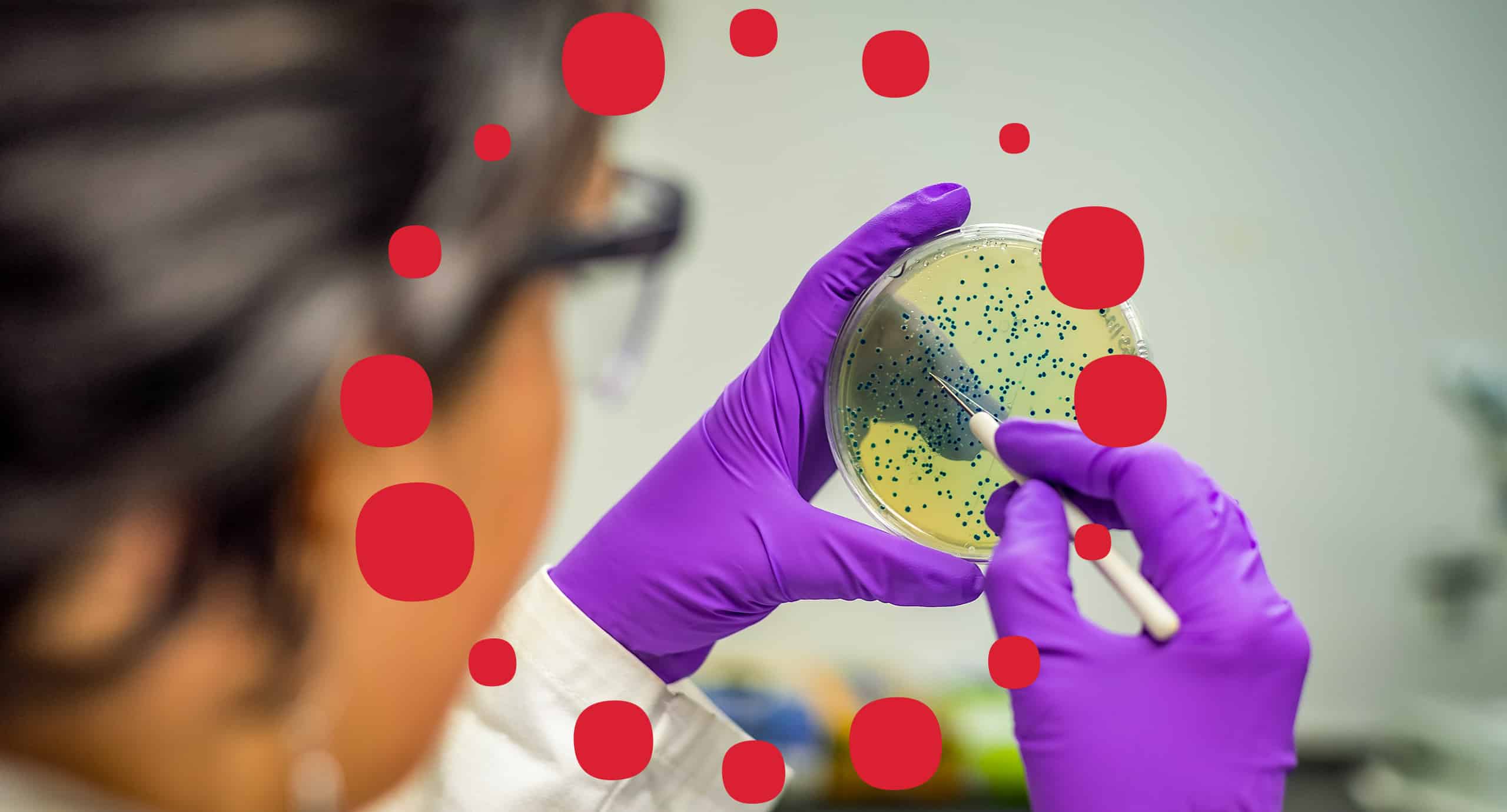 Microbiomul: Importanța echilibrului intestinal pentru sănătate